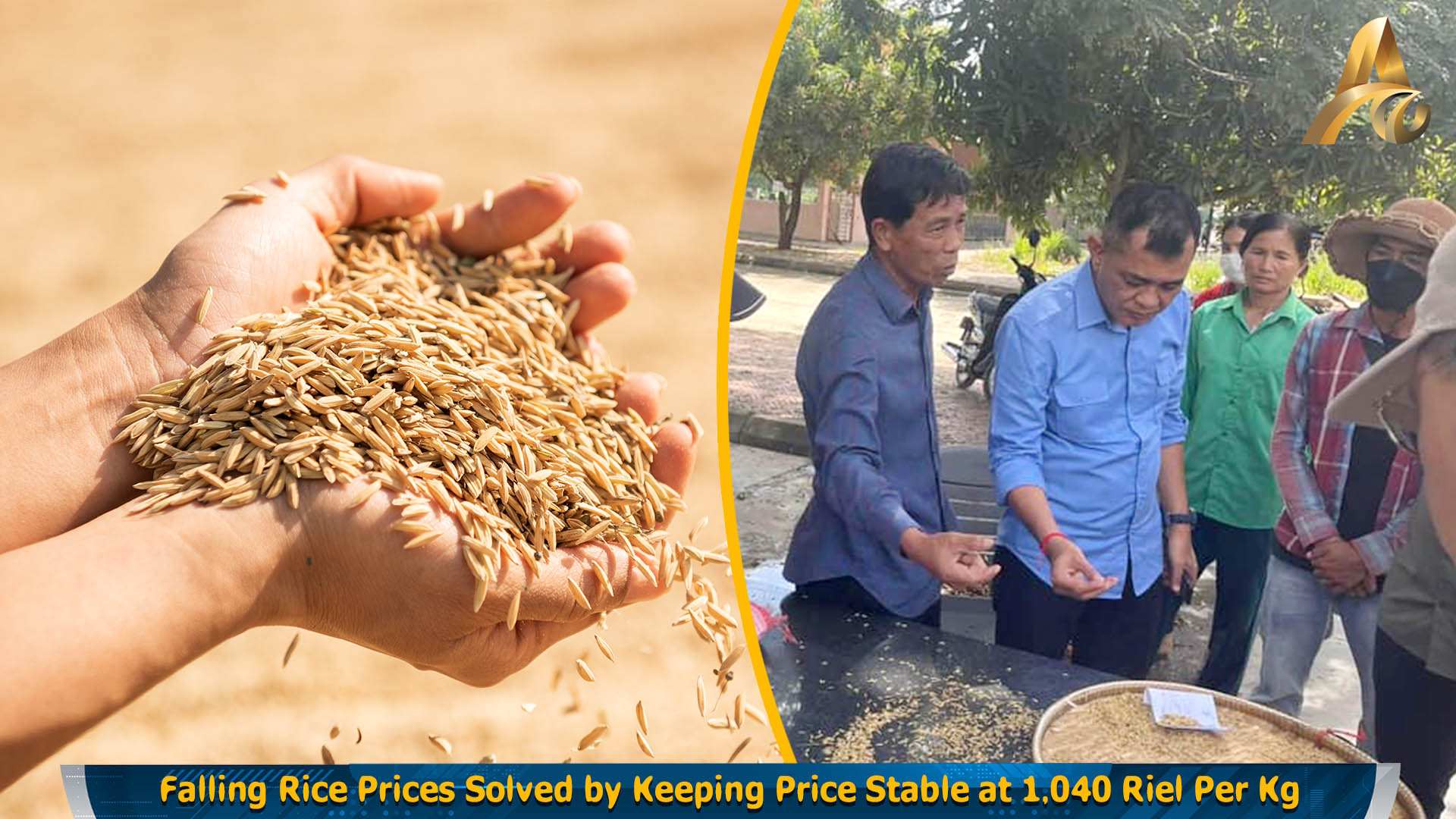 Falling Rice Prices Solved by Keeping Price Stable at 1,040 Riel Per Kg