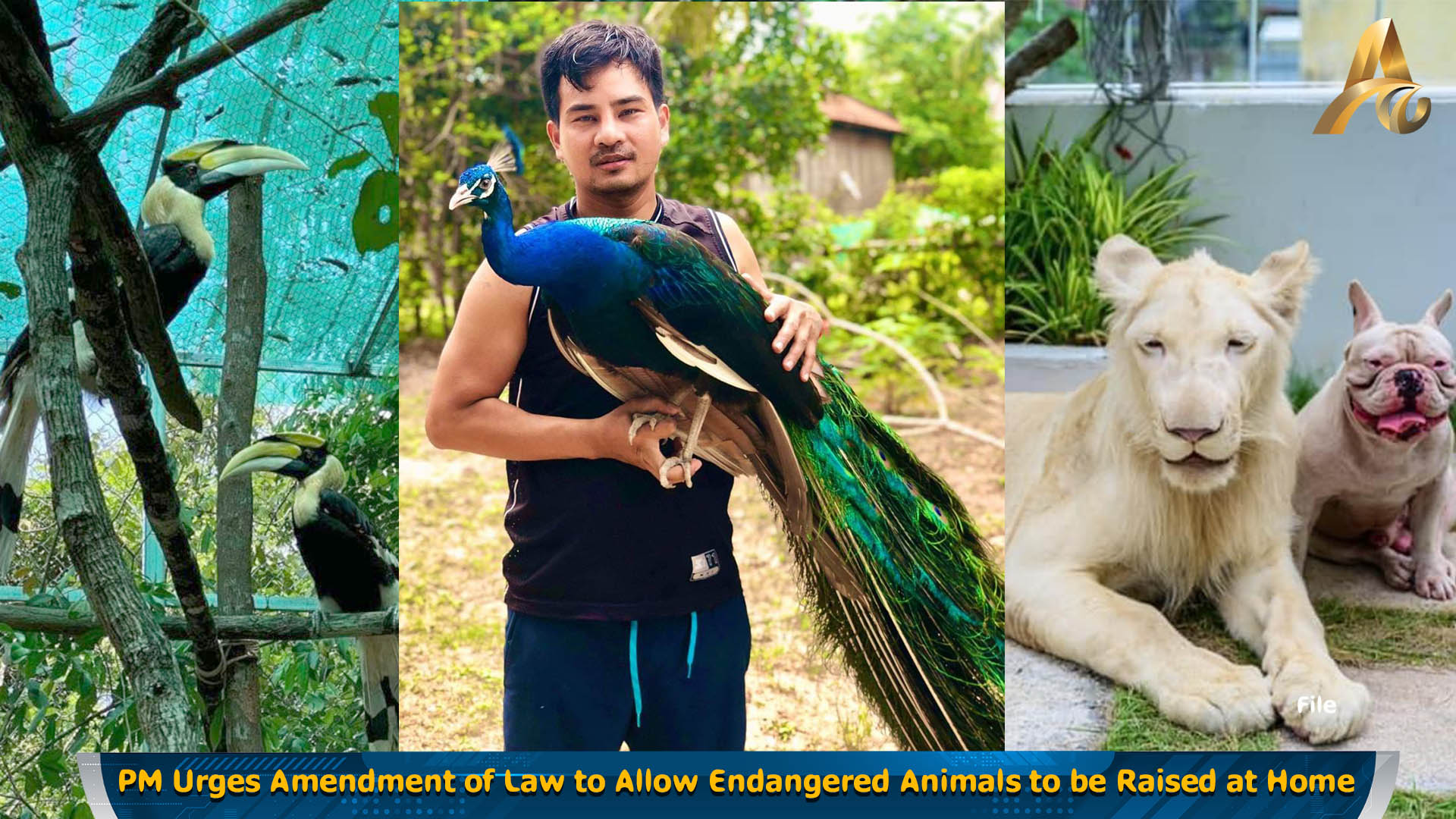PM Urges Amendment of Law to Allow Endangered Animals to be Raised at Home