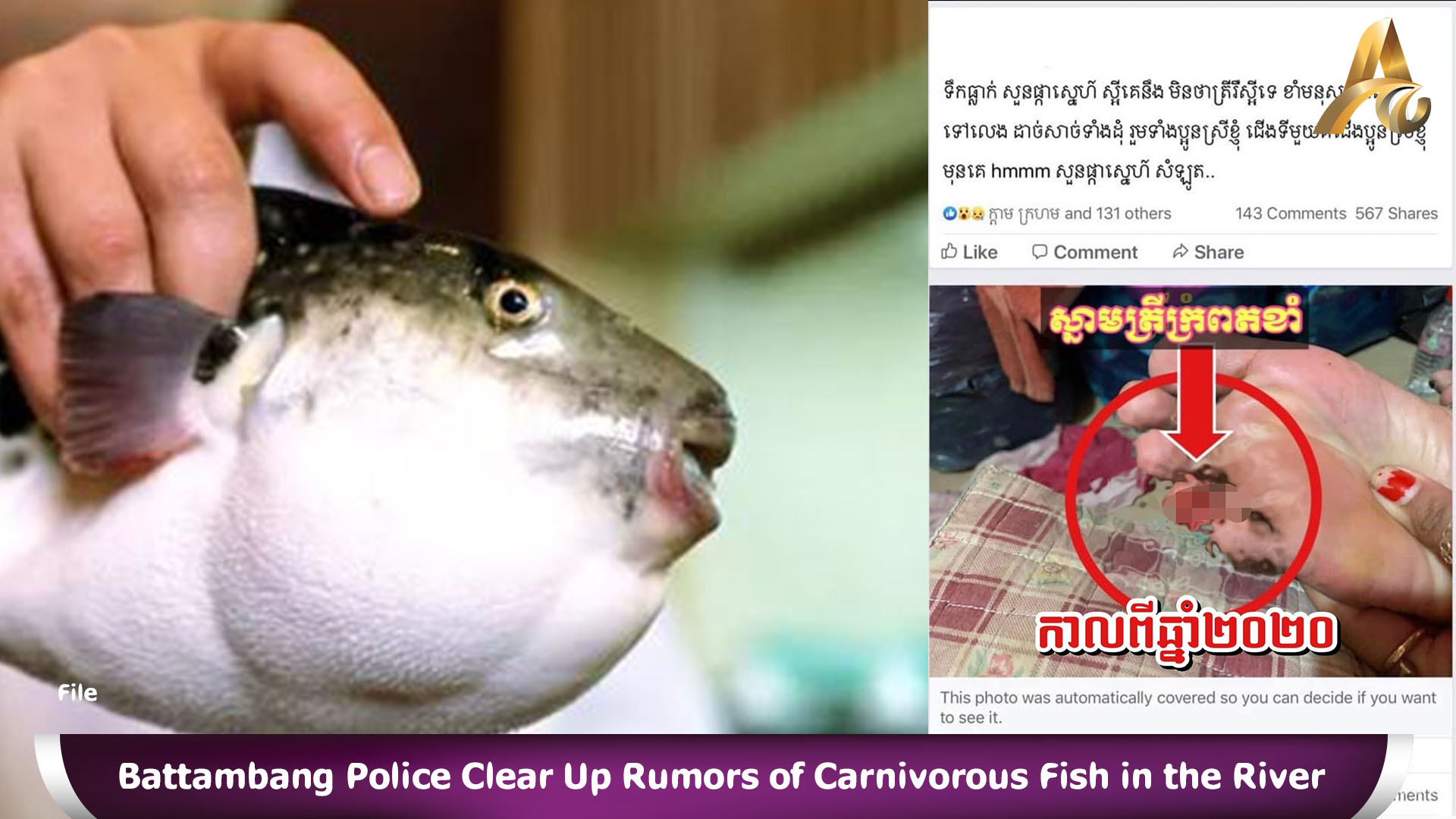 Battambang Police Clear Up Rumors of Carnivorous Fish in the River
