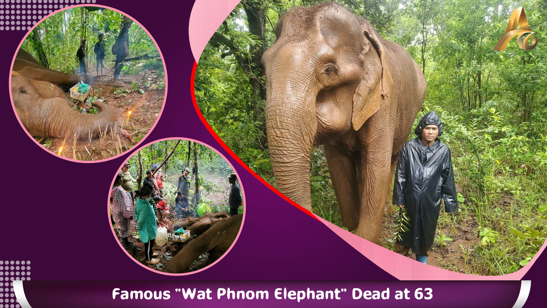 Famous "Wat Phnom Elephant" Dead at 63