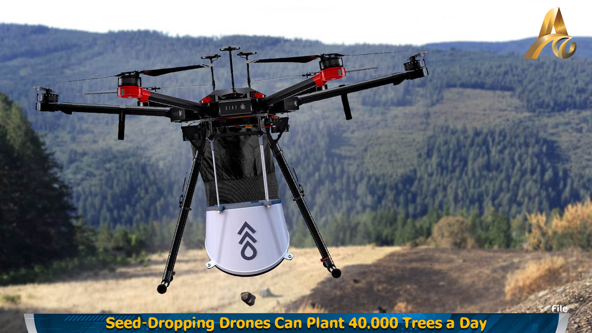 Seed-Dropping Drones Can Plant 40,000 Trees a Day