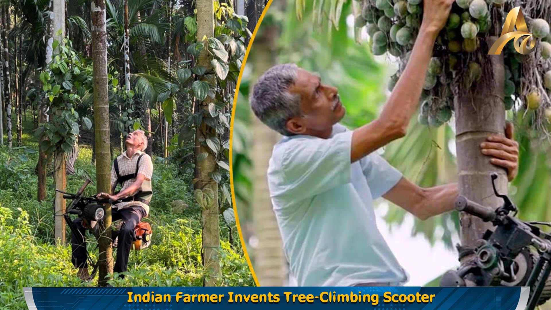 Indian Farmer Invents Tree-Climbing Scooter